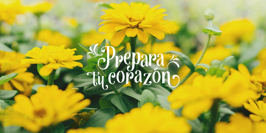 Prepara tu corazón | Día 8 | Mujer Verdadera Blog | Aviva Nuestros ...