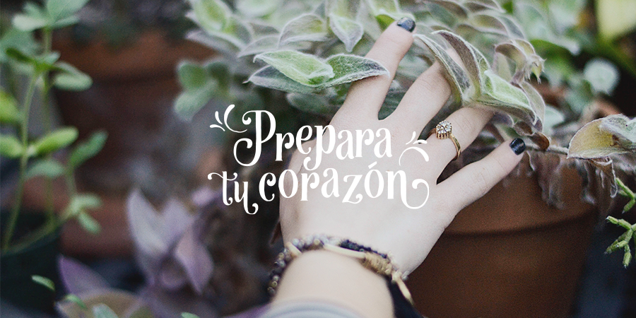 Prepara tu corazón | Día 2 | Mujer Verdadera Blog | Aviva Nuestros ...