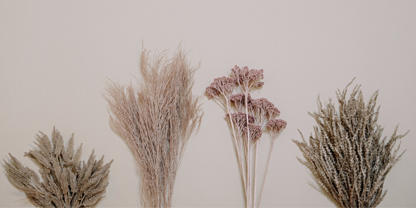 Características del arrepentimiento verdadero | Blog Joven Verdadera ...