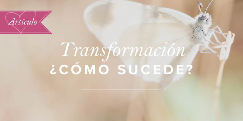 Transformación: ¿cómo sucede? | Artículos | Aviva Nuestros Corazones