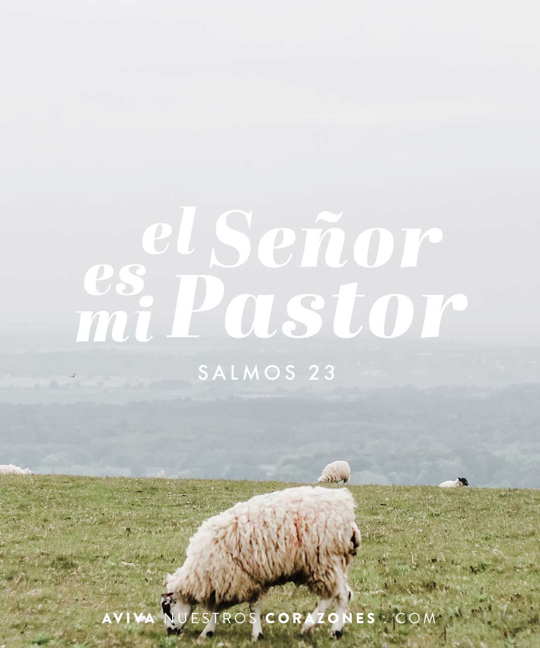 Episodios del podcast Aviva Nuestros Corazones por temporada: El Señor ...